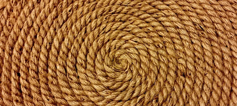 Why and how to do skip level 1-1s | Jade Rubick - Engineering Leadership